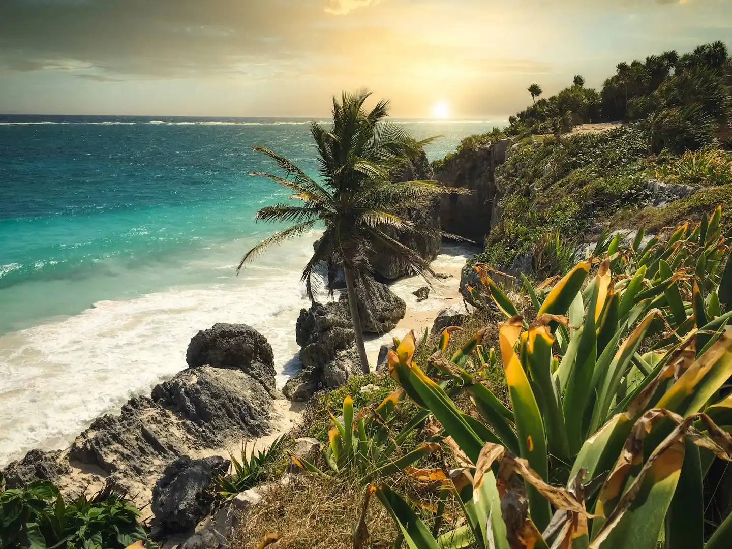 Quintana Roo VISITAX 2026: What It Is, How Much, and How to Pay | Vistumo